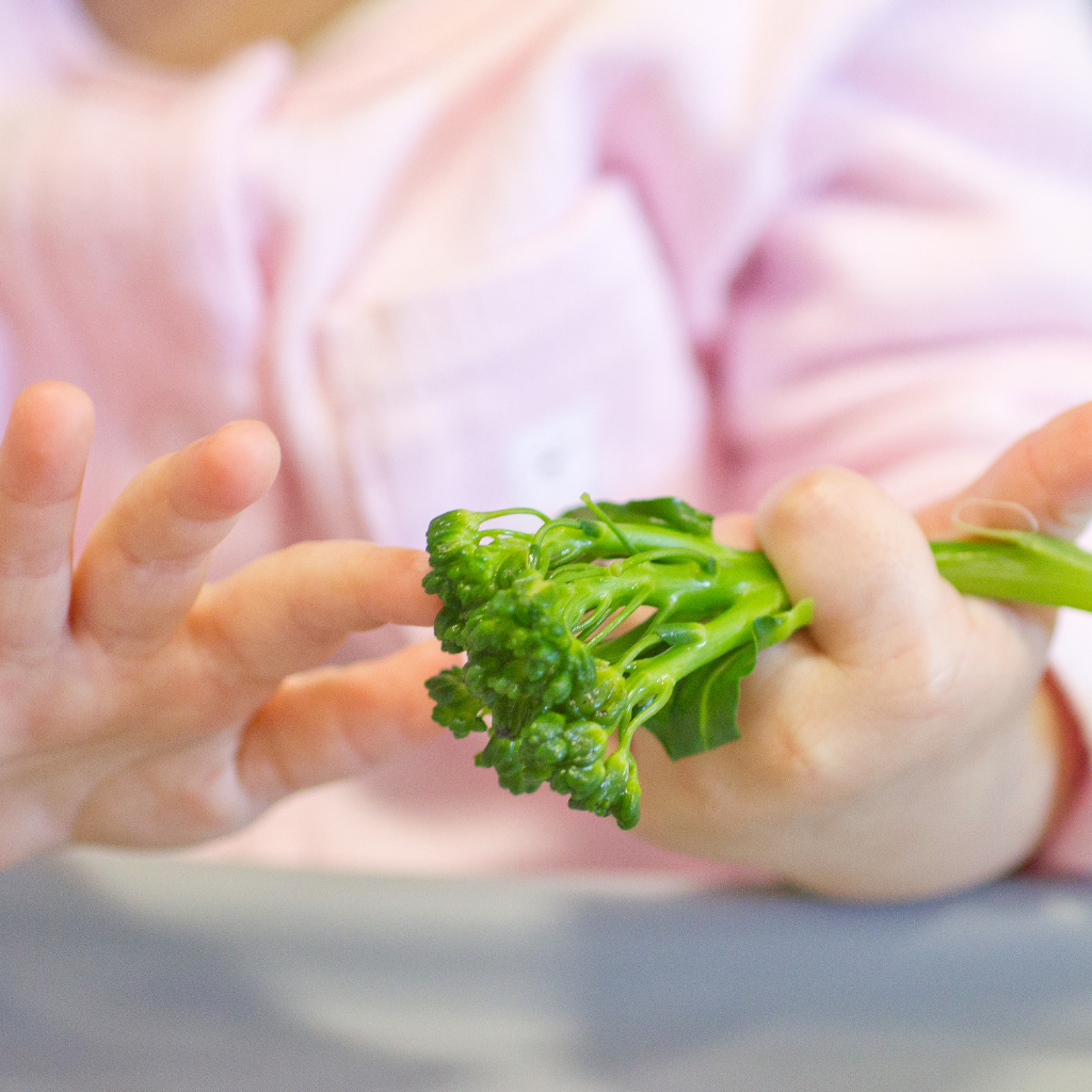 The honest guide to introducing solids – Our Joey